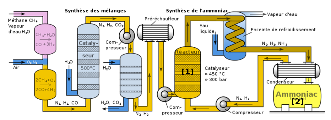 Apports de la chimie dans l'agriculture (1/2) : les engrais ...