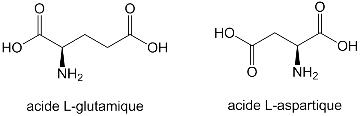 La chimie du goût | CultureSciences-Chimie