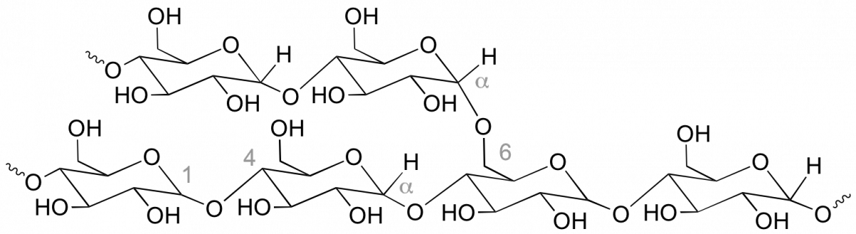 Matériaux Polymères - Architecture macromoléculaire | CultureSciences ...
