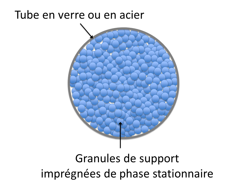 La chromatographie en phase gazeuse: principe | CultureSciences-Chimie